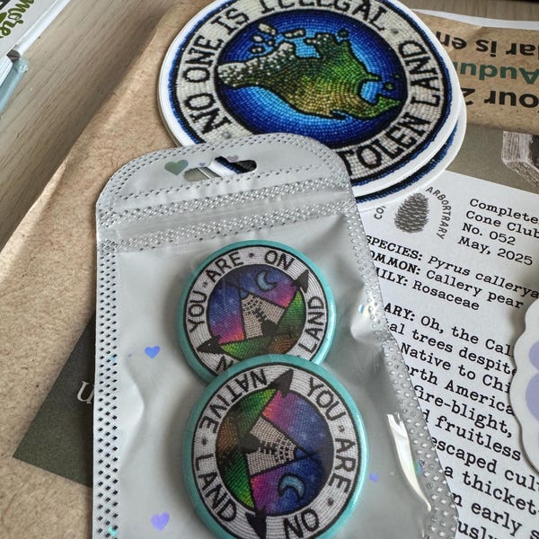 You Are on Native Land Pin - Etsy