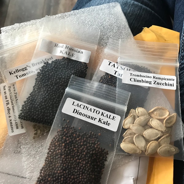 15 TROMBONCINO RAMPICANTE Seeds; Italian Climbing Zucchini; Snake ...