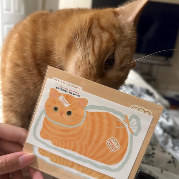 Cute White Cat Card Set Series | Cute Card Set, Kawaii Card Set ...