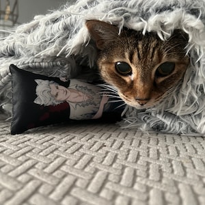 Dnd Class Cat Sticker Pack Dnd Cat Stickers Dnd Stickers Dnd Classes as ...