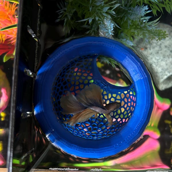 Floating Aquarium Hides / for Fish Tanks and Shrimps / Creating a Safe ...