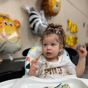 Birthday Tutu Outfit, 2nd Birthday, Second Birthday, Girls 2nd Birthday ...