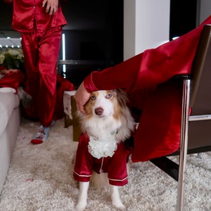 Gift for Dog Moms Matching Pet and Owner Pajamas Set in Ruby Red Satin ...