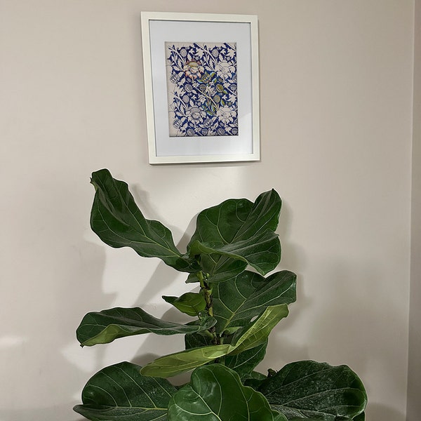 Dominican Sayings | PNG & SVG Files | Frases Dominicanas | Compatible ...