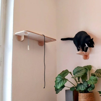 3D Modular Cat Furniture set of 5 Modules, Best Indoor Cardboard Cat ...