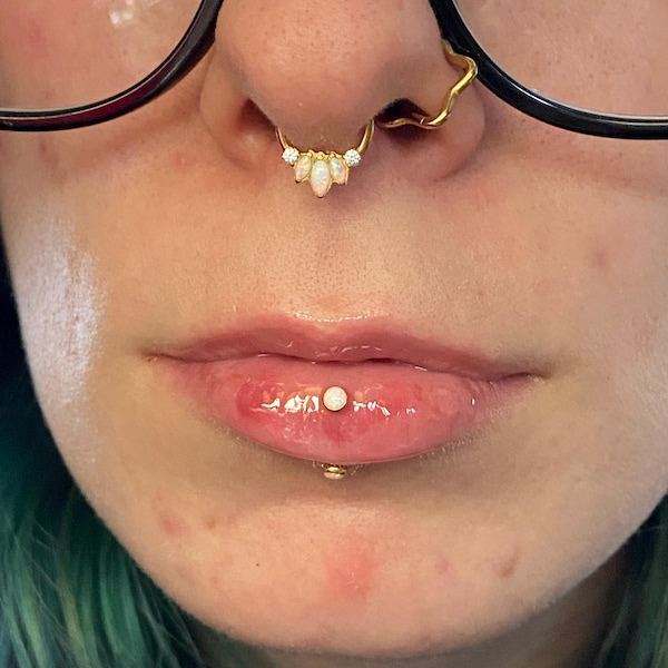 Vertical Labret Bridge Eyebrow Ring G23 Titanium Ring Jewelry Curved ...