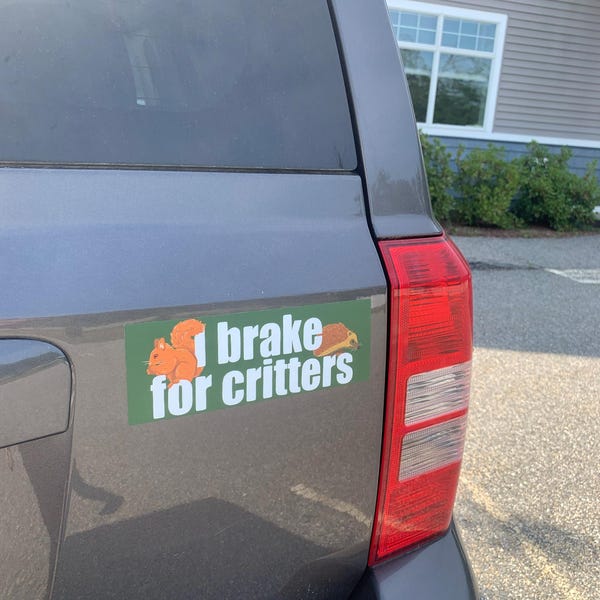 Please Be Patient, I Am 9 Years Old. Funny Car Bumper Sticker, Meme ...