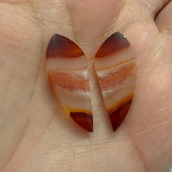 River Jasper Pair Just Like Ocean Jasper : Size 22×16×4 Mm Weight 5,6 ...