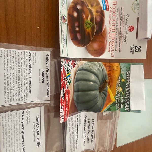 Bottle Tree Seeds - Elephants Foot Ponytail Palm Seeds - Nolina ...