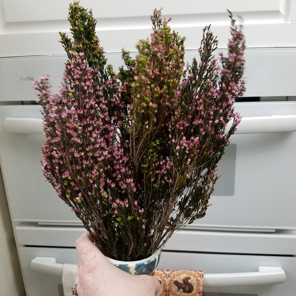 Bunch of Preserved Pink Heather, Pink Heather, Pink Wedding Flowers ...