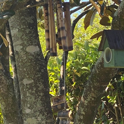 Action Mobile, Kinetic Art Sculpture of Natural Bamboo, Made in USA for ...