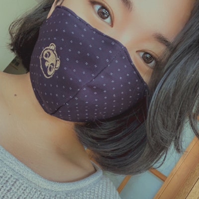 Animal Crossing Face Mask Animal Crossing Mask Mask With Filter Pocket ...