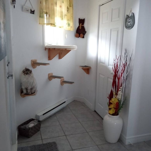 Welcome to the Catio Wood Sign, Cat Head Sign, Cat House Sign, Wood Cat ...