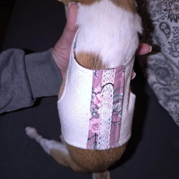 Dog Diaper Patterns Sewing Pattern Pdf File Make Your Own Dog Diapers in 6 Sizes From XS to XXL ...