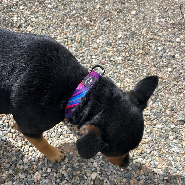 Treeline Dog Collar - Trees | Forest | Nature | Outdoors - Etsy