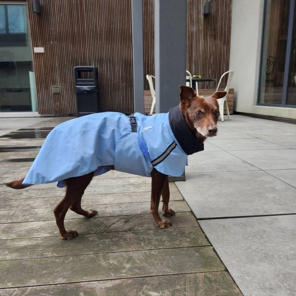 Comfortable Full Body Dog Suit, Overall for Dogs, Waterproof ...