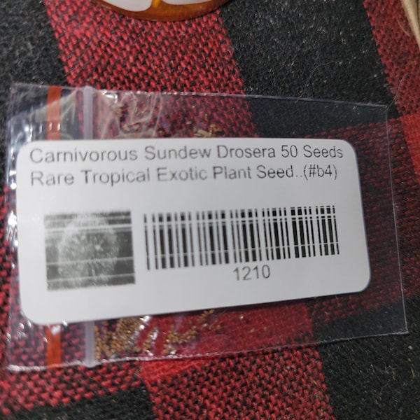 Carnivorous Sundew Drosera 50 Seeds Rare Tropical Exotic Plant Seed ...