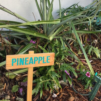 PINEAPPLE Sign, Yard Art, Outdoor Marker, Tropical Fruit, Fruit Signage ...