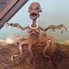 Sea Fairy Feejee Fiji Mermaid Sideshow Gaff Freak - Etsy