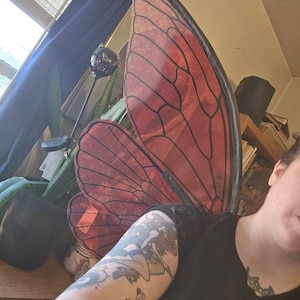 Husk Wings, Black, Red Angel Wings Costume, Hazbin Hotel, Cosplay - Etsy