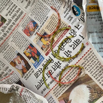 30 Varieties of Vegetable & Fruits Seeds for Kitchen Garden 1800 Seeds ...