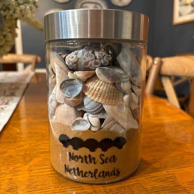 Giant Atlantic Cockle Shell Art, Cockle Shell Sculpture, Cockle Shells ...