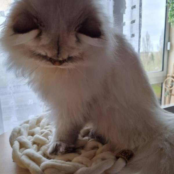 White Natural Wool Cat House, Thick Knitted Bedding for Indoor Cats ...