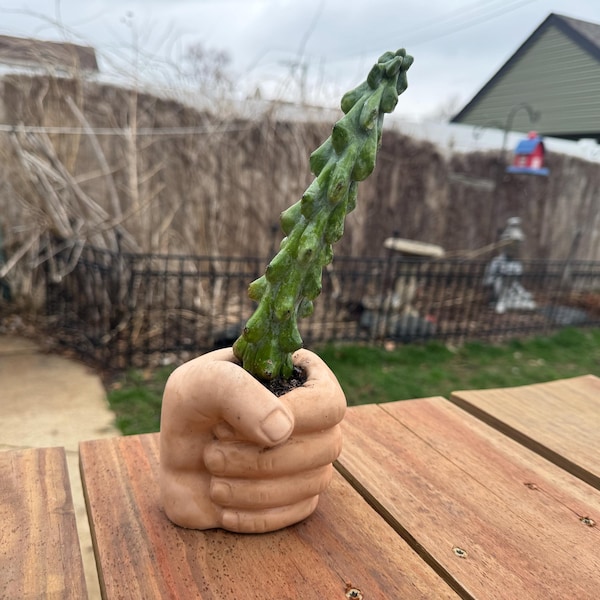 Oopsies Funny Planter | Fist Planter | Plant Pot | Hand Planter | Funny ...