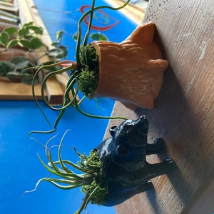 Fire Hydrant Succulent Planter Home Decor Modern Planter - Etsy