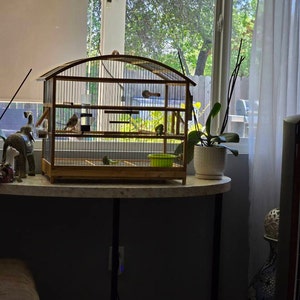 Large Rectangular Bird Cage Full Handmade / Wood Bird Cage / Decorative ...