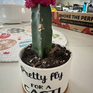 4 Inch Breast Cancer Awareness Terracotta Face Planter Pots With Pink ...