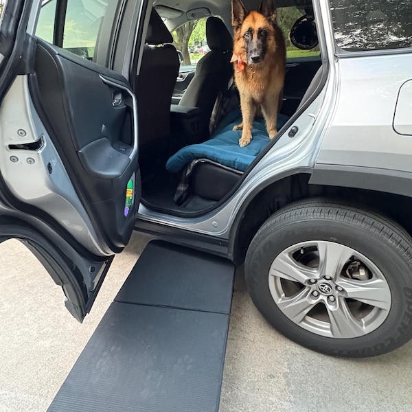 The Alternative to Steps and Ramps! 4 Paws Platform for Small & Large ...