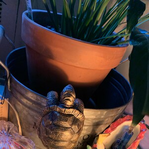 Peter Rabbit Pot Buddy Pot Hanger Beatrix Potter Gift - Etsy