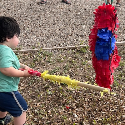 Don Julio Bottle Birthday Pinata Tequila Bottle Piñata 21st Birthday ...