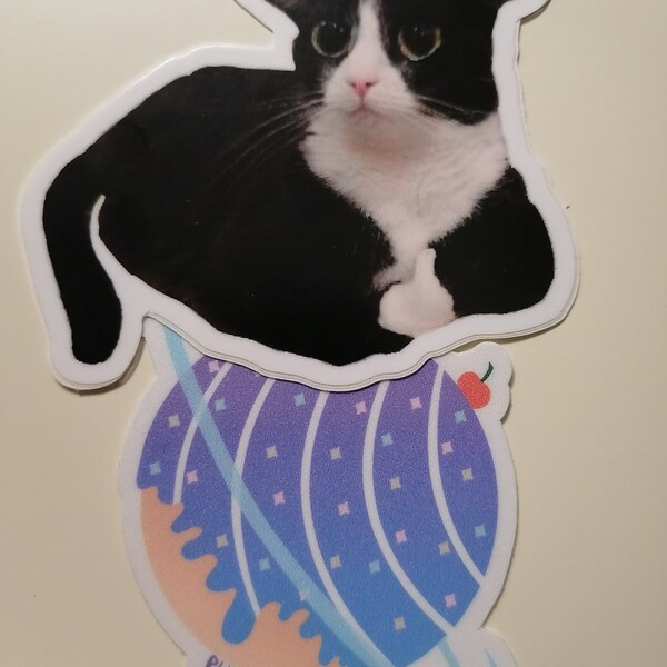 On My Puter Capybara Clear Sticker Vinyl Waterproof | Cute Animals ...