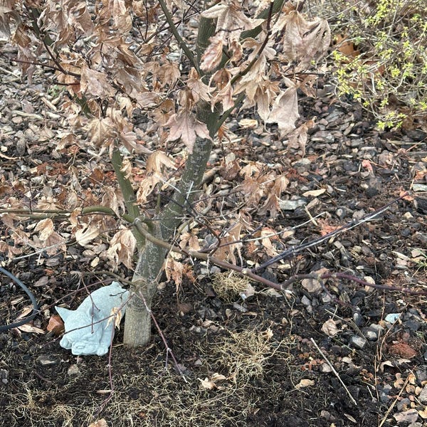 Custom Concrete Address Sign-custom Engraved Address Stone- Custom ...