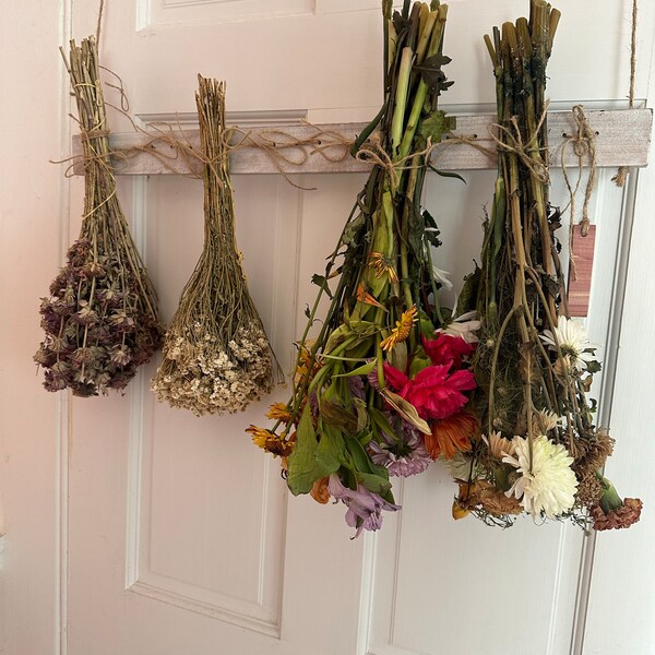 24 Dried Herb Ceiling Hanger Frame Chili Pepper Garlic Orange Drying ...