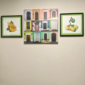 Quenepas Poster/ Quenepas Drawing/ Guinep/ Caribbean Fruit/ Mamoncillo ...