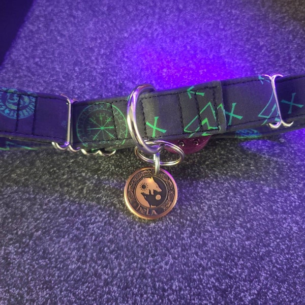 CUSTOM Hidden Prong Training Dog Collar - Real Leather - 2 Inch Wide ...