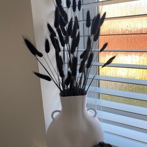 50 Bunny Tails, 50-60cm Tall | Black Natural White Bunnytails Pampas ...