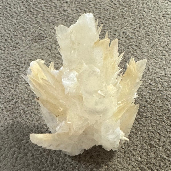 616 Palm Root Unique Indonesian Jasper - Agate for Necklace Cabochon ...