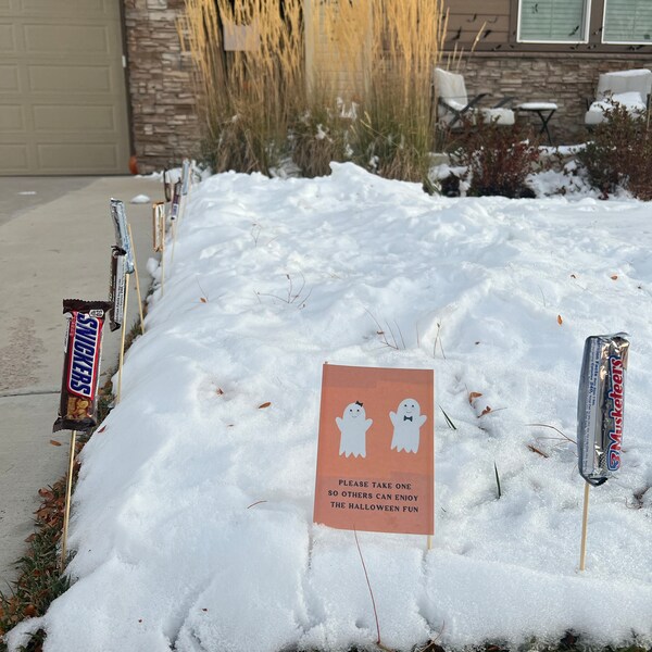 Mother's Day Printable Interview for Kids, Includes Grandma Interview ...