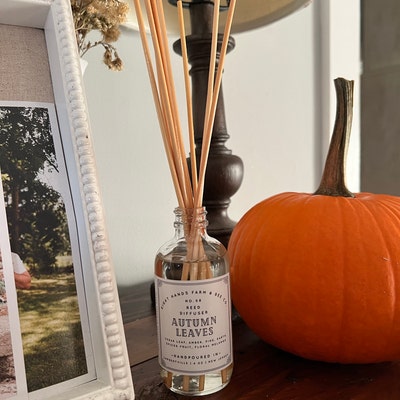 Reed Diffuser Sticks Only Diffuser Stick Bundle Bundle Reed - Etsy