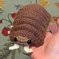 PDF Download - Realistic Isopod Crochet Pattern - Etsy Canada