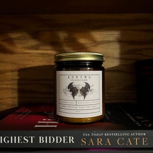 Crescent City Poster Art Print Lunathion HOEAB Bookish Gift Booktok ...