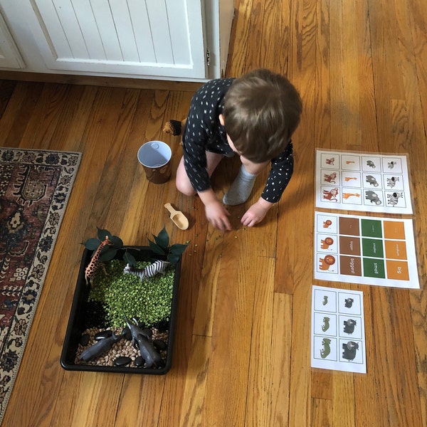 Bug Hunt Sensory Bin Featuring Insect Puzzle Cards | Insect Sensory Bin ...
