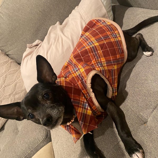 Dog Coat Pattern, Dog Vest Sewing Pattern, Sewing Pattern Pet, Pattern ...