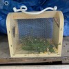 Wooden Bug and Critter Cage - Etsy