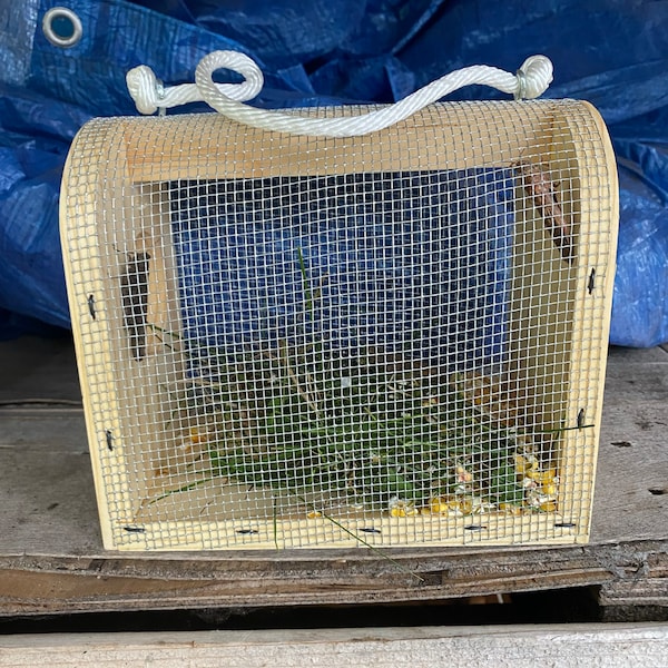 Wooden Bug and Critter Cage - Etsy