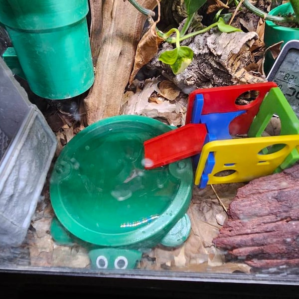 Little Tykes Turtle Sand Box With Lid: Spider Water-dish, Reptile ...